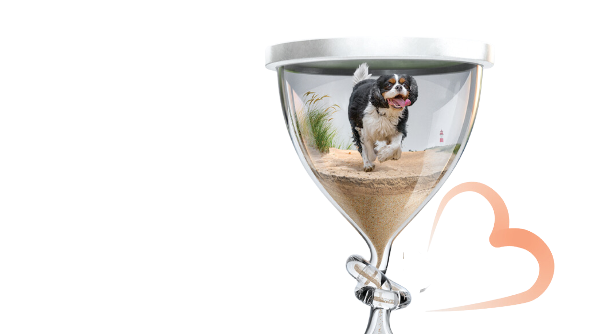 Cardiology 101 Series Course