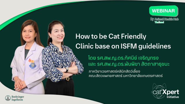 Cat X'Pert Learning Series ครบจบทุกเรื่องแมวๆ